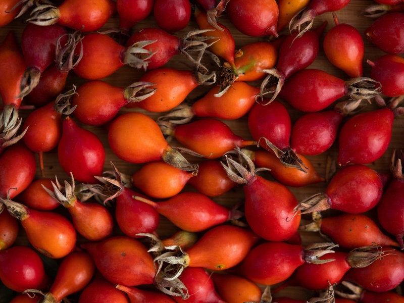 The Complete List of Fruits of Ireland - Flora Fauna Fun