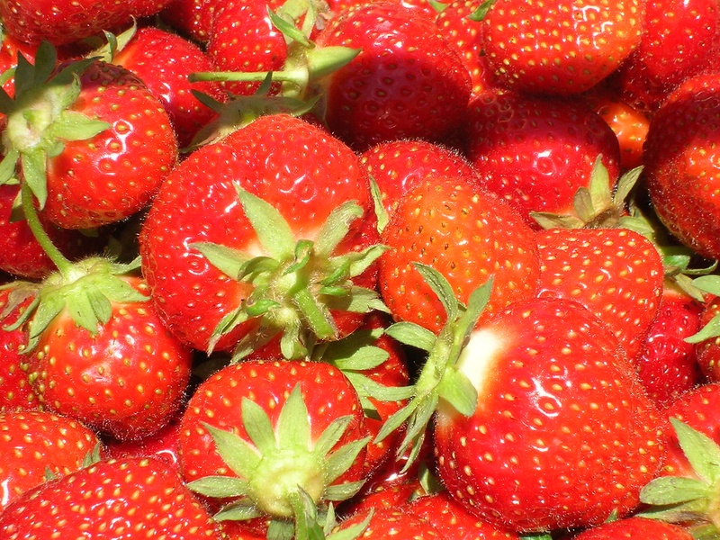 The Complete List of Fruits of Ireland - Flora Fauna Fun