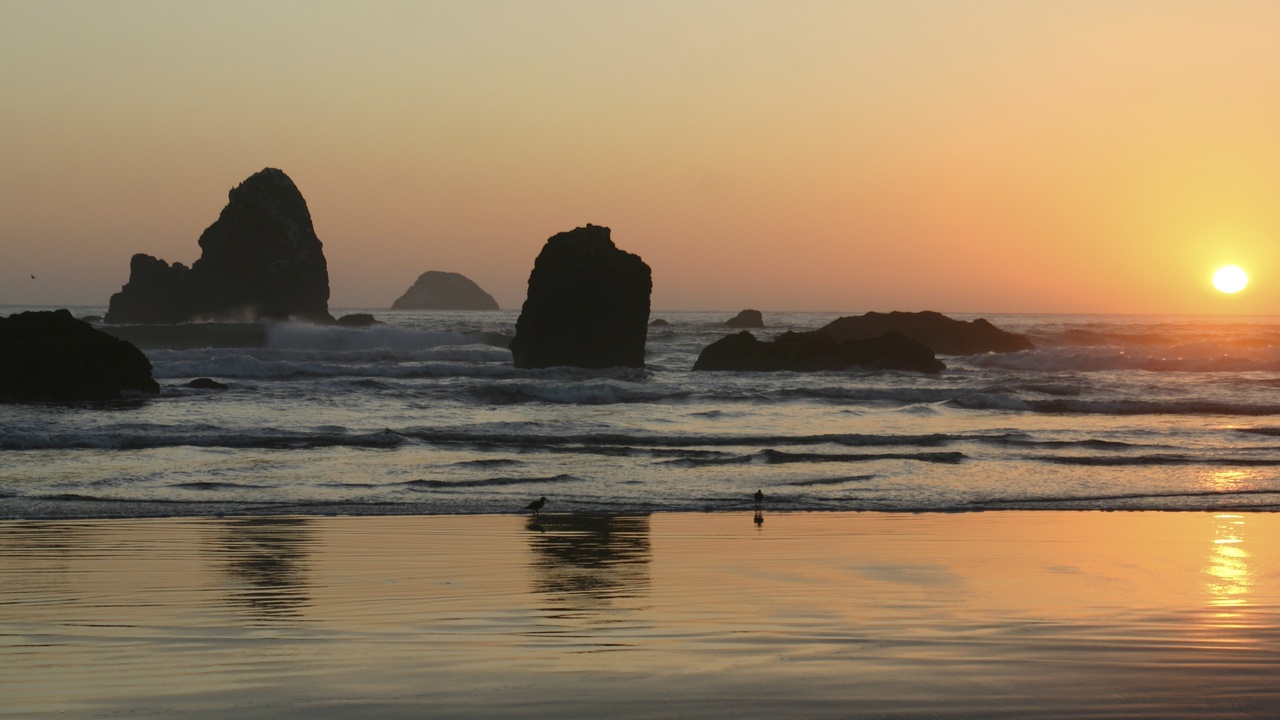 12 Examples of the Varied Fauna of Ukraine - Flora Fauna Fun