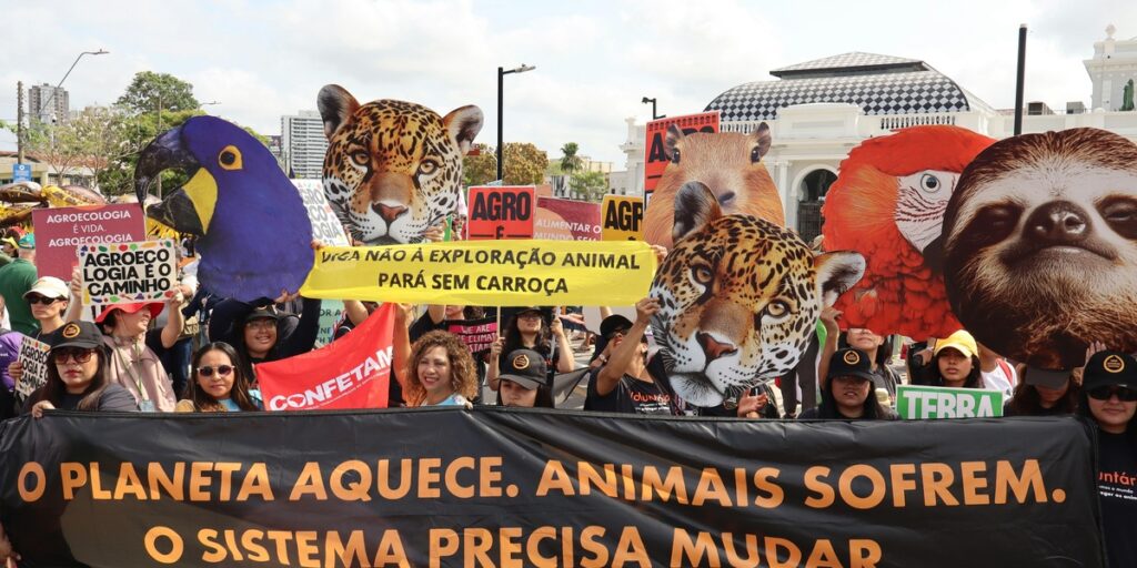 Aggressive Rainforest Animals: The Complete List - Flora Fauna Fun