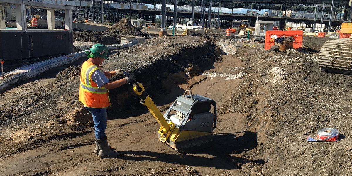 7 Signs of Soil Compaction - Flora Fauna Fun