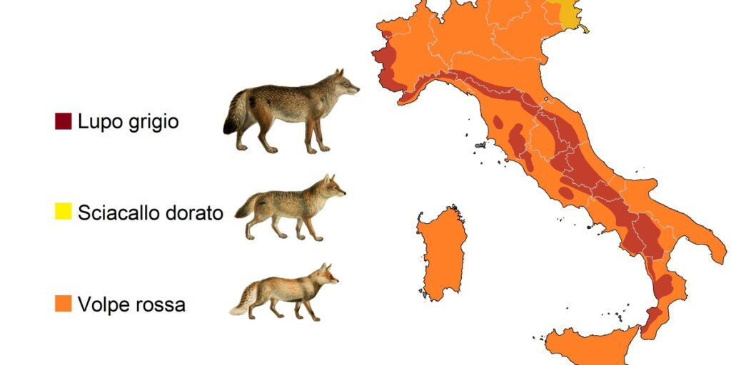 The Complete List of Animals Only Found in Italy - Flora Fauna Fun