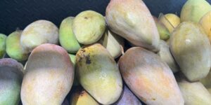 Fruits of Guyana: The Complete List - Flora Fauna Fun