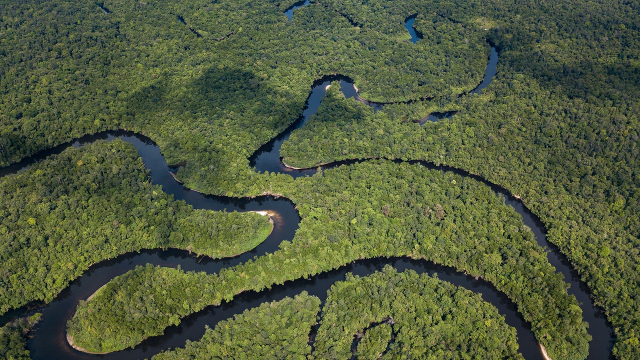 Top 10 Impressive Wildlife of Cambodia - Flora Fauna Fun