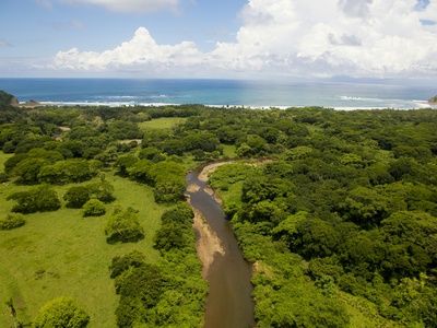 Plants Of Costa Rica: The Complete List - Flora Fauna Fun