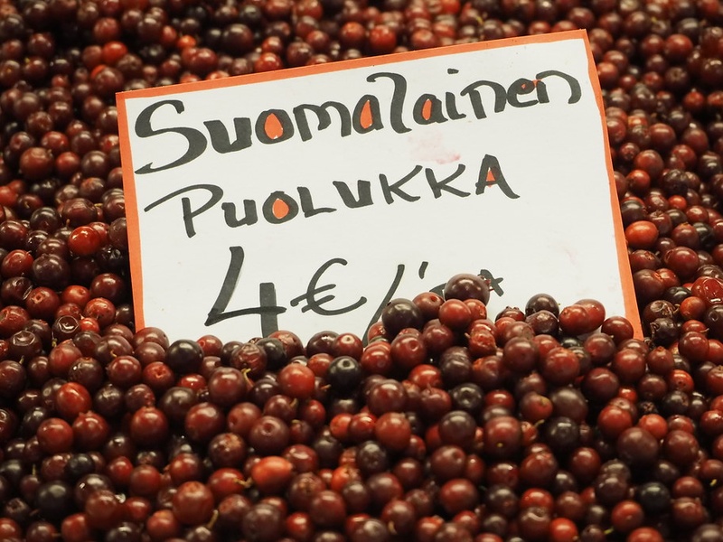 Plants Of Finland: The Complete List - Flora Fauna Fun