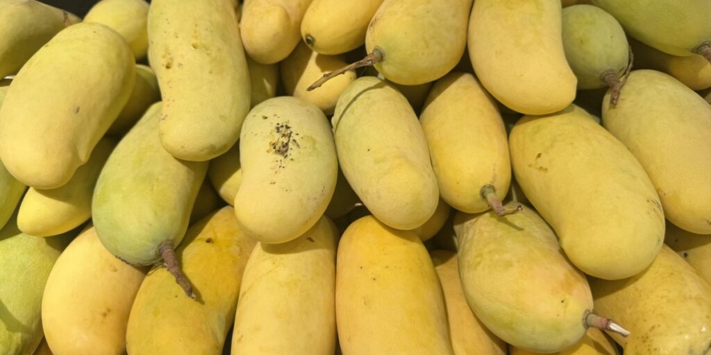 Fruits Of Nepal: The Complete List - Flora Fauna Fun