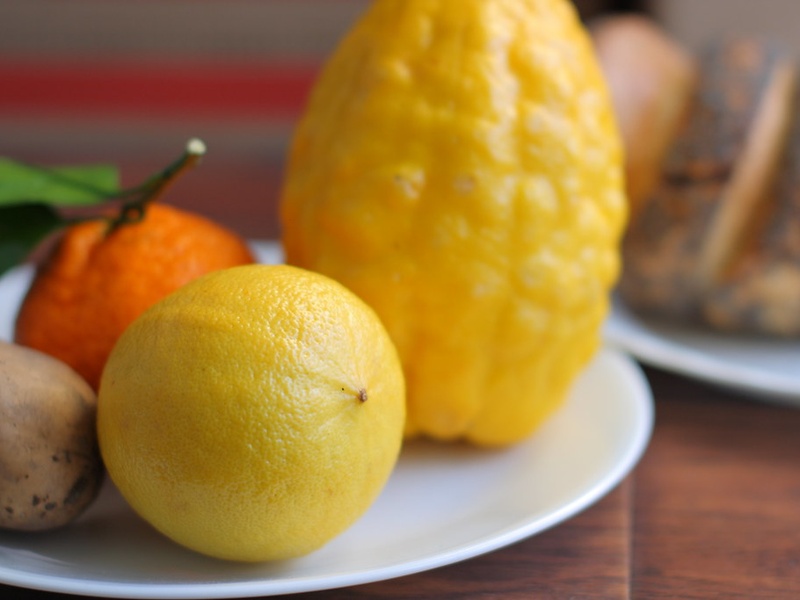 Fruits Of Malta: The Complete List - Flora Fauna Fun