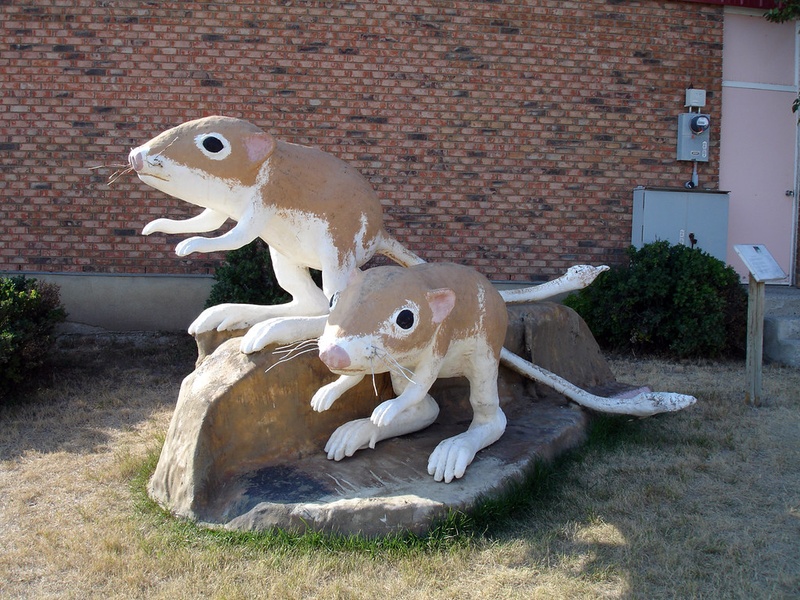 List of Two-Legged Animals - Flora Fauna Fun